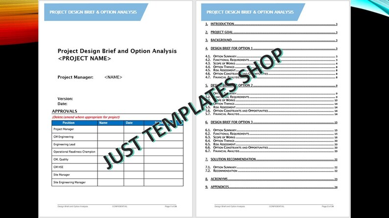 Project Management Project Design Brief and Options Analysis | Etsy