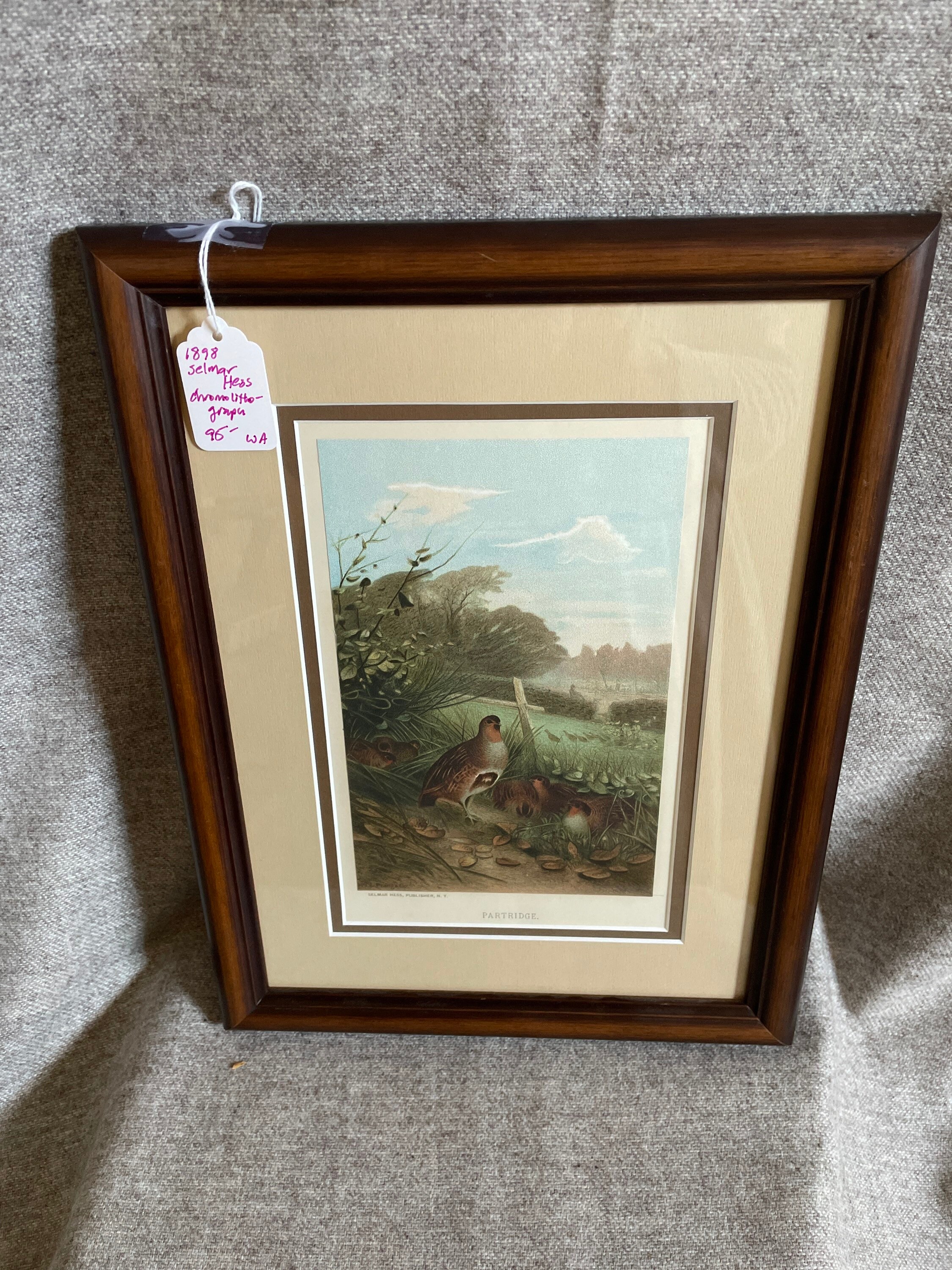 Vintage Circa 1898 Bird Art - Etsy