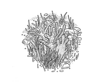 Original Cactus Garden Desert Ink Drawing One-of-a-kind - Etsy