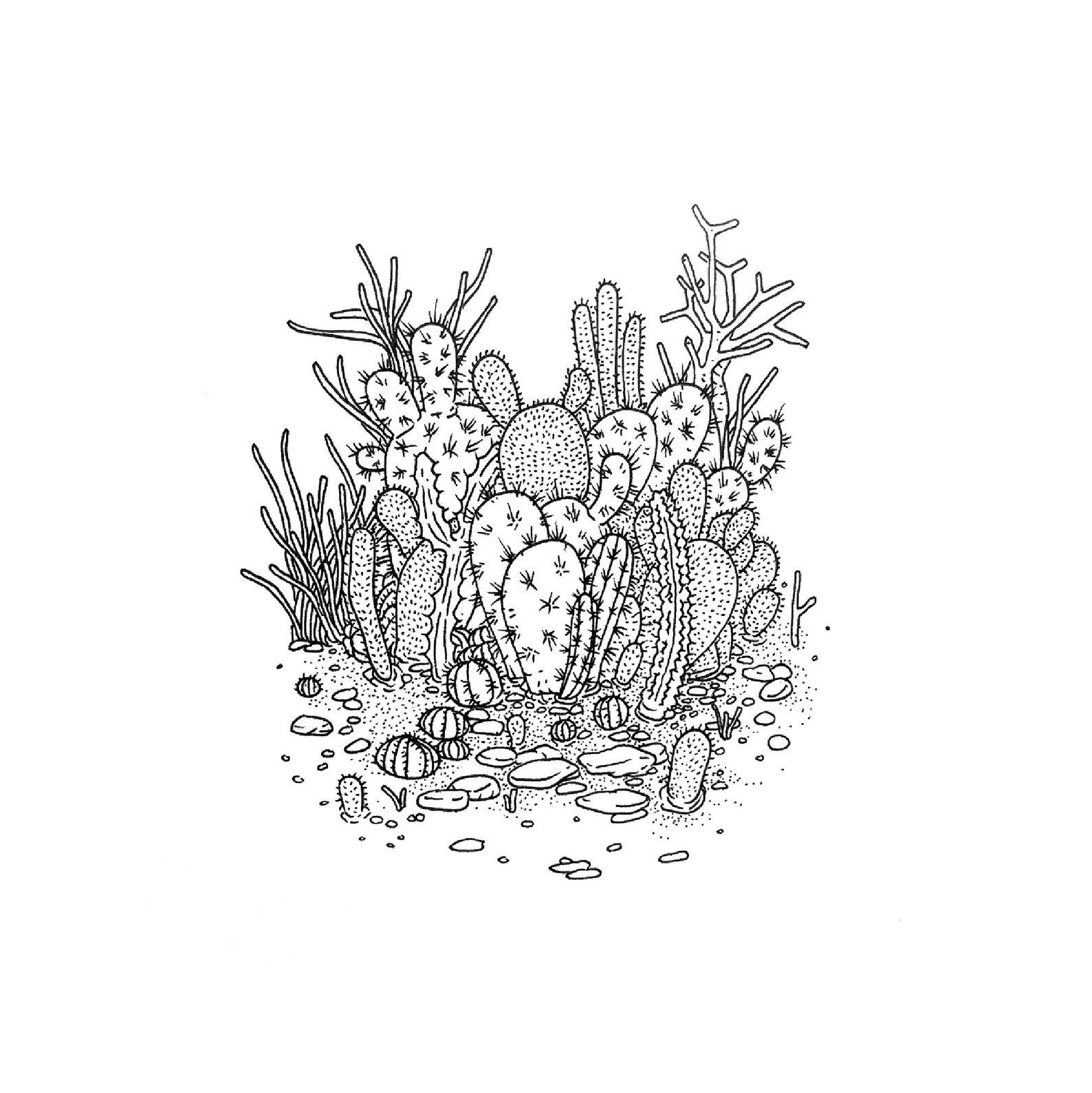 Original Cactus Garden Desert Ink Drawing One-of-a-kind - Etsy