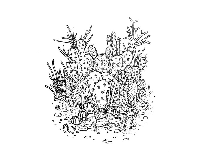 Original Cactus Garden Desert Ink Drawing One-of-a-kind - Etsy