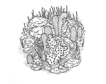 Original Cactus Garden Desert Ink Drawing One-of-a-kind - Etsy
