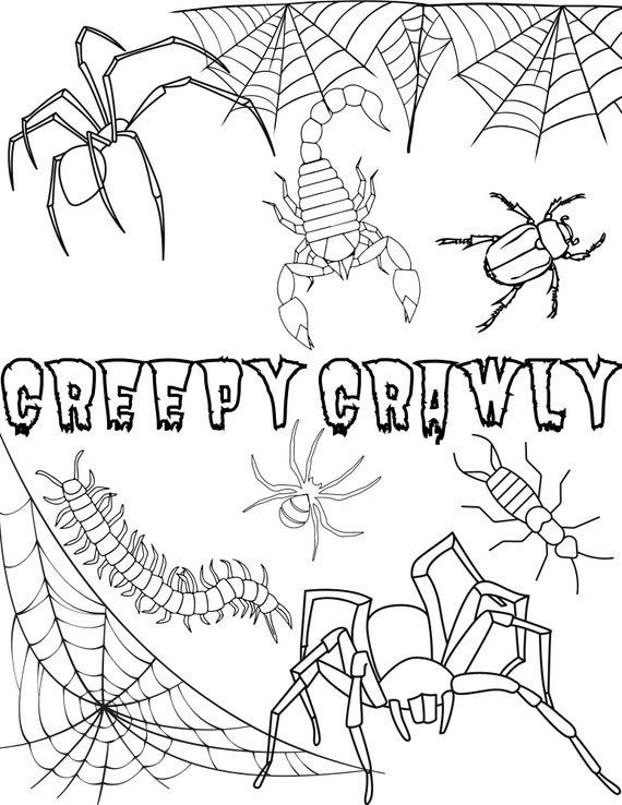 Halloween Coloring Page Creepy Crawly - Etsy