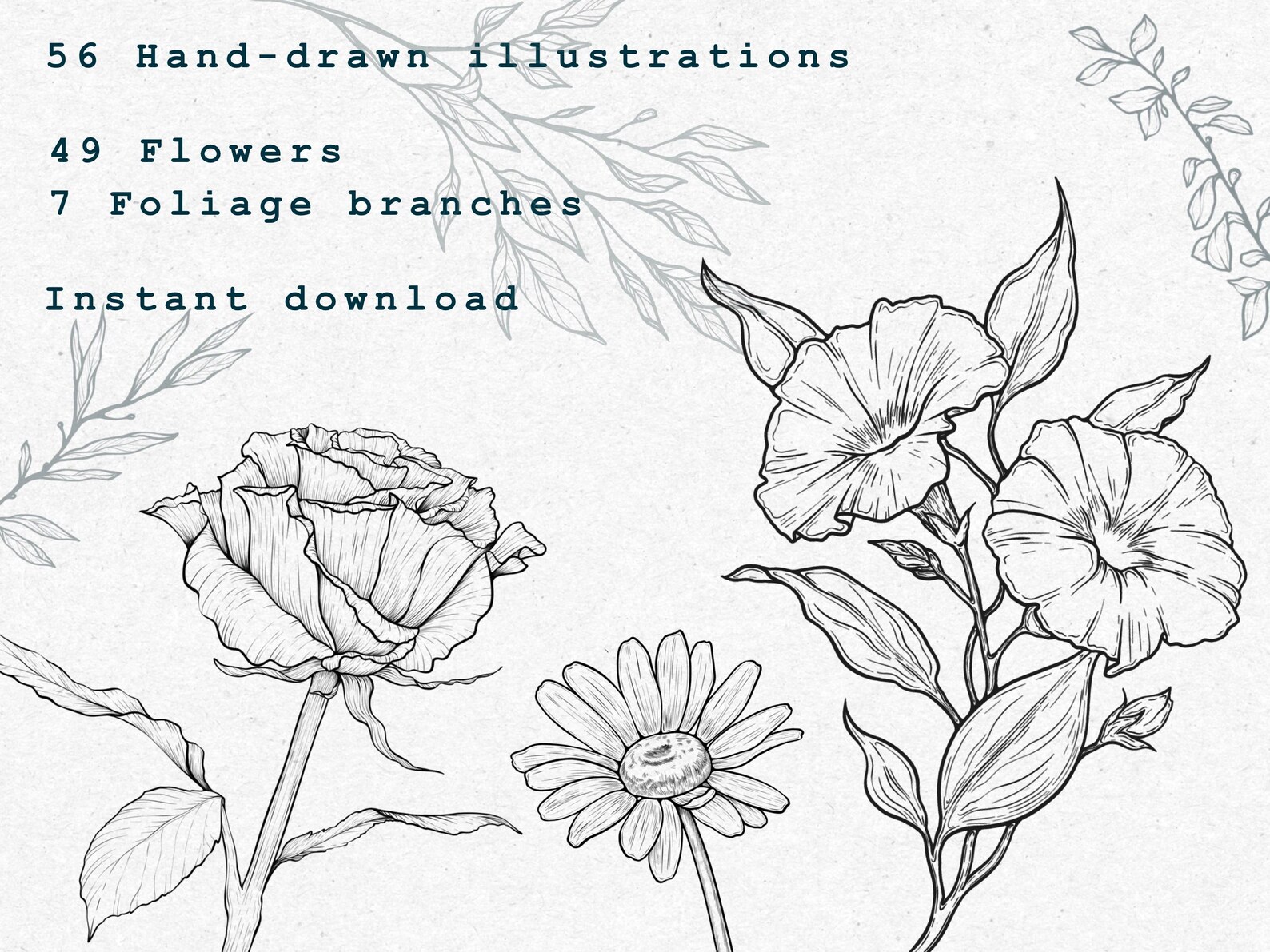 Birth Flowers PNG SVG, Hand Drawn Flowers, Birth Month Flowers Clipart ...