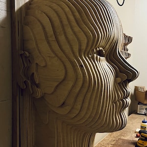 Parametric Wall Art - Human Head - Etsy