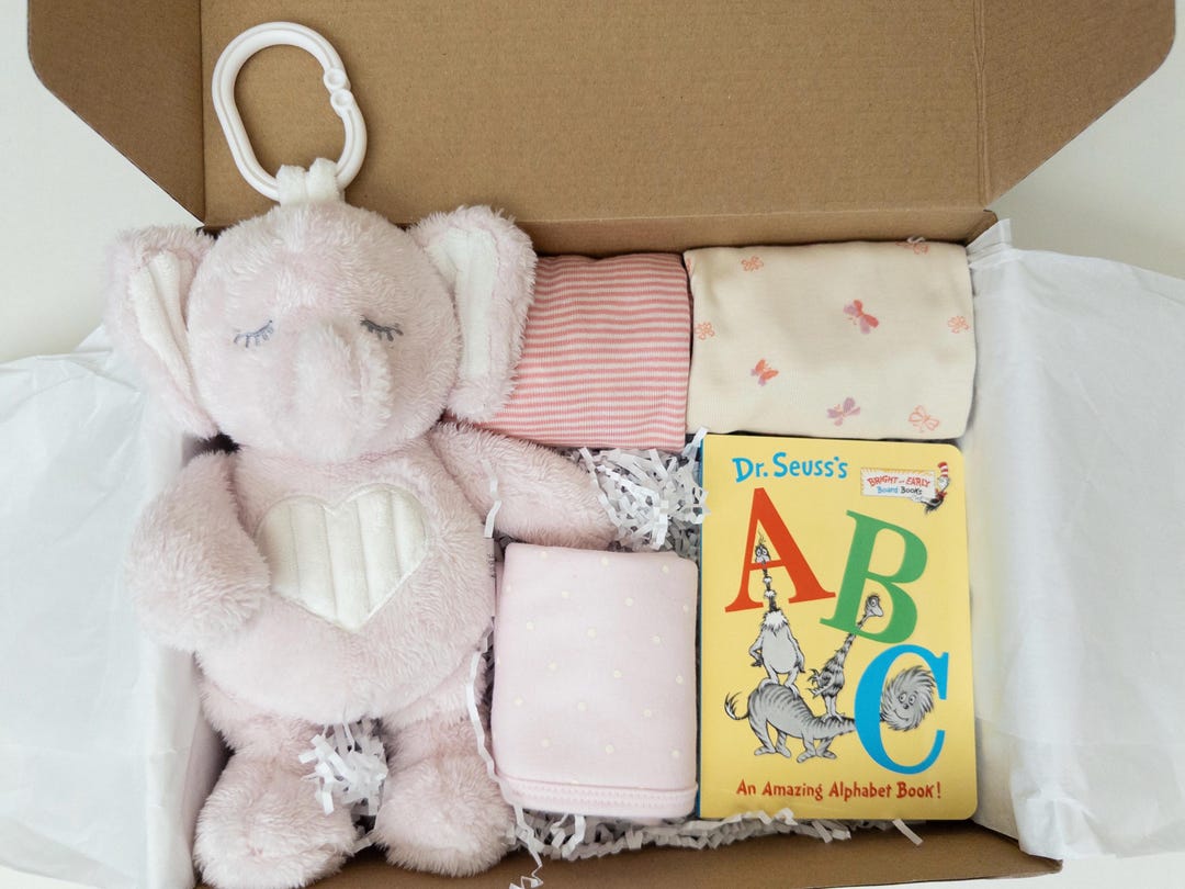 Baby Girl Gift Box: Bodysuits, Book, Burp Cloth & Musical Elephant - Etsy