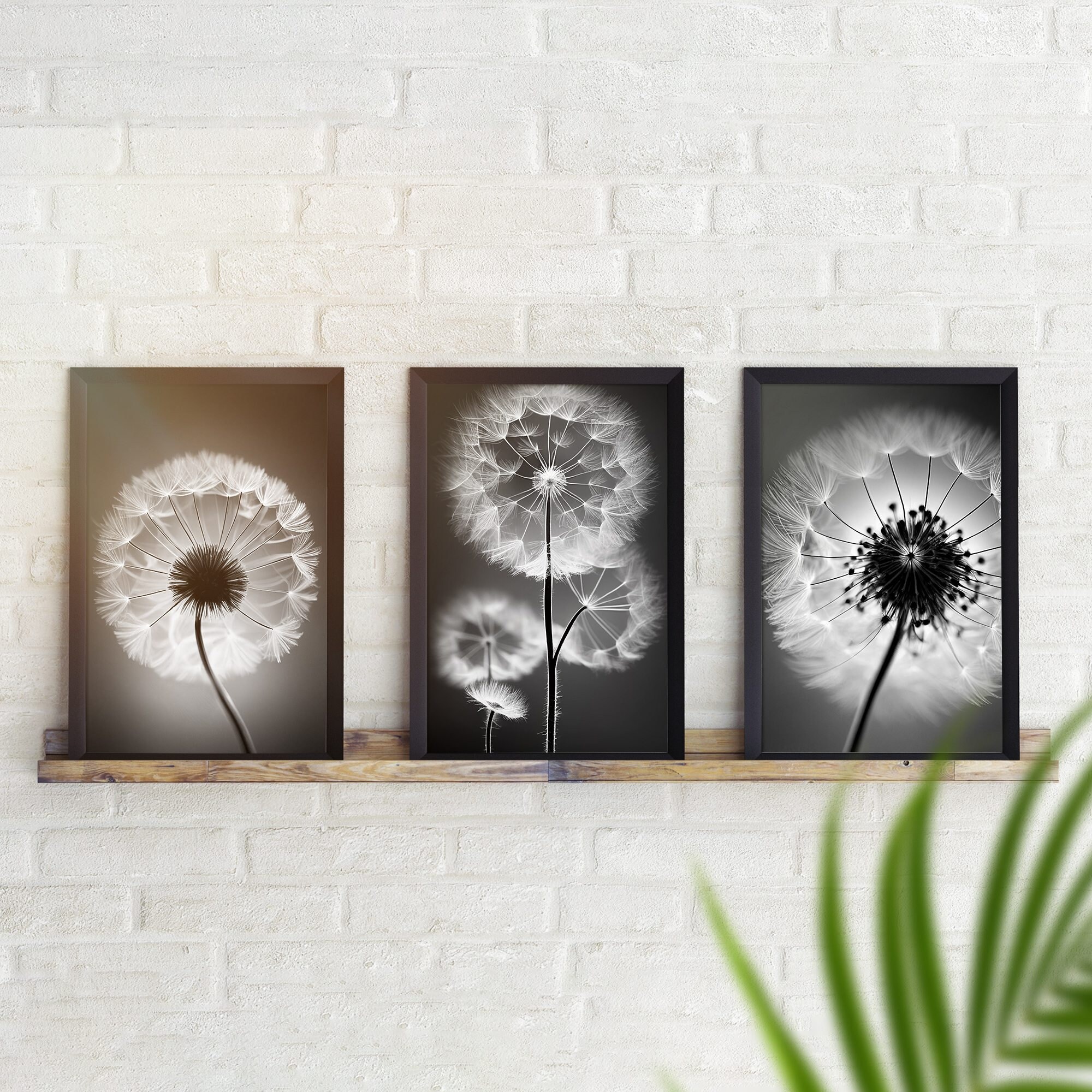 Black and White Wall Art Dandelion Wall Art 3 Piece Art - Etsy
