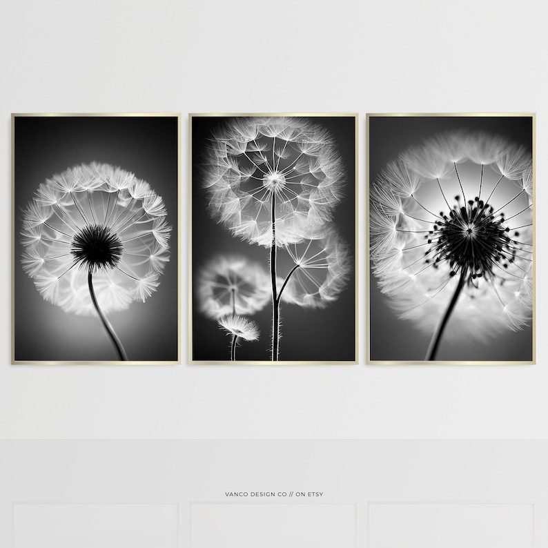 Black and White Wall Art, Dandelion Wall Art 3 Piece Art Prints, Flower ...