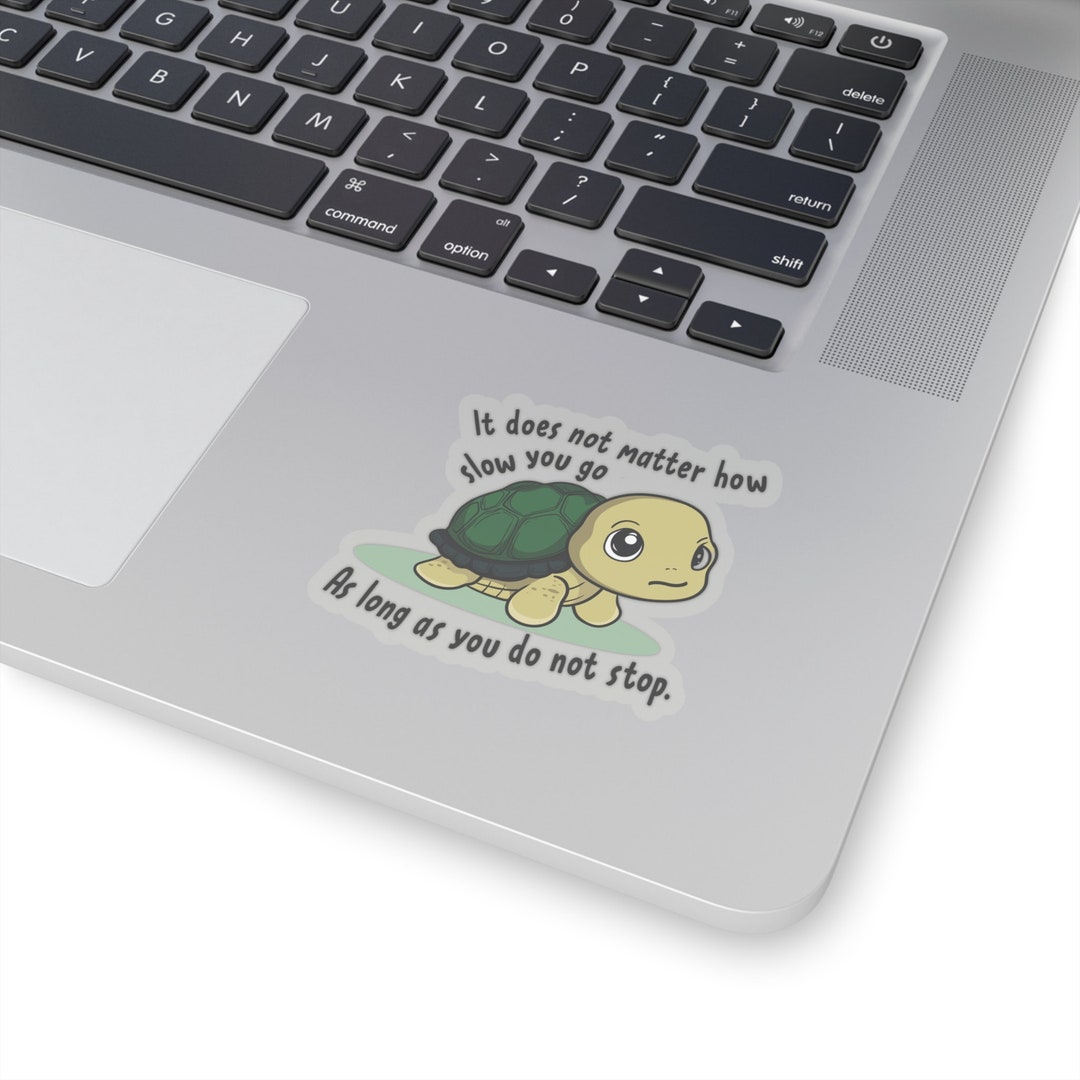 Motivational Turtle Sticker: Embrace the Pace, Persistence Over ...