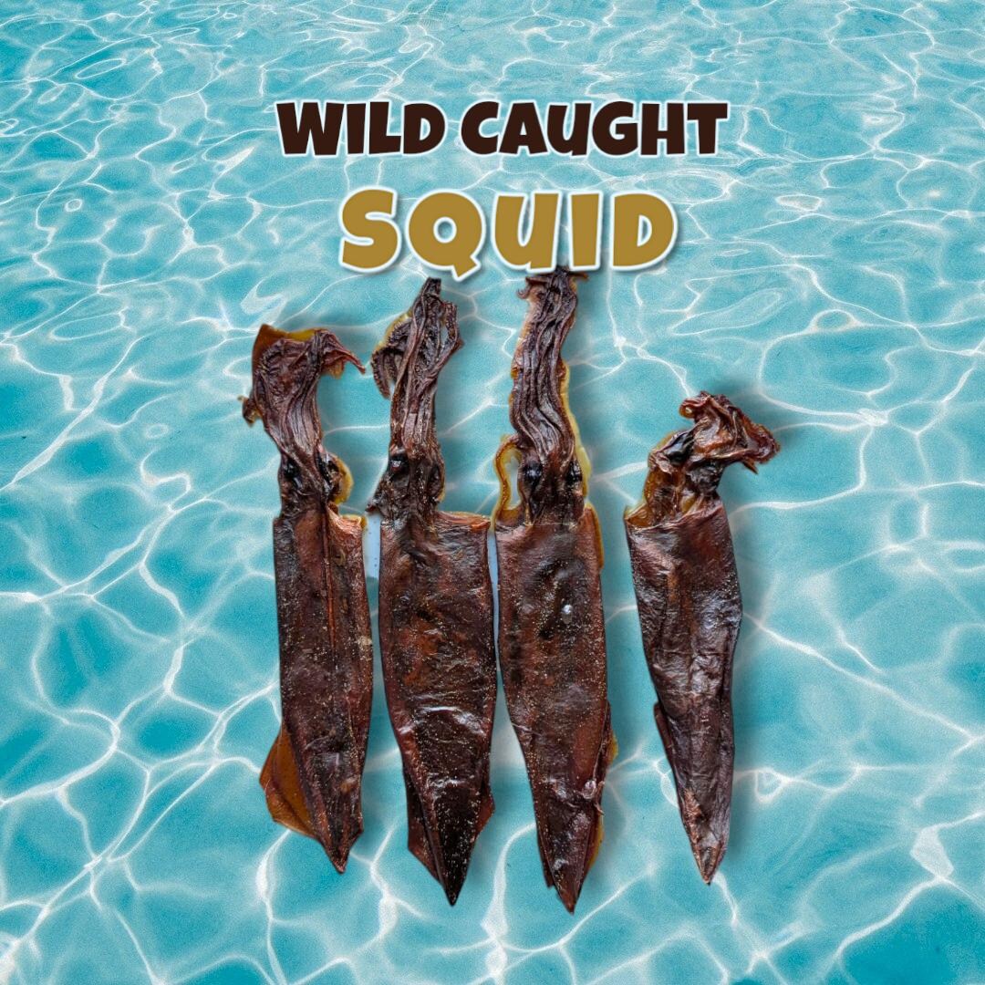 Wild Caught Squid Dog Treats | Homemade Exotic Kibble Topper ...