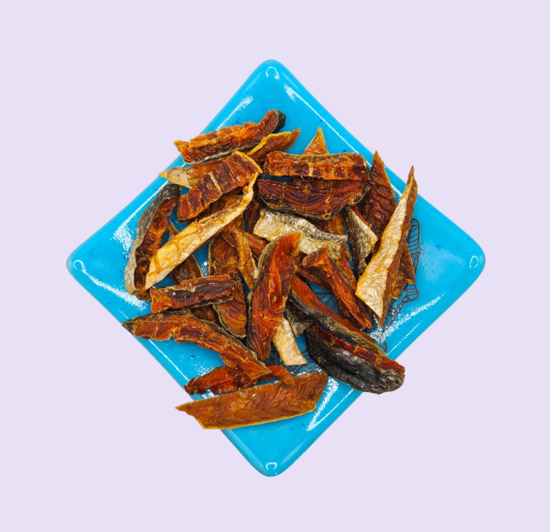 Salmon Jerky Dog Treat | Homemade Dog Gift | Gourmet Training Treats ...