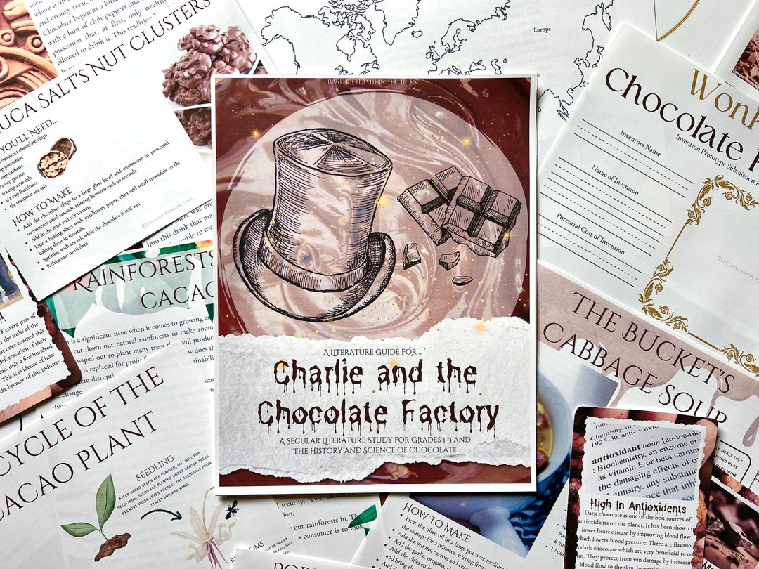 Charlie and the Chocolate Factory Literature Study - Etsy