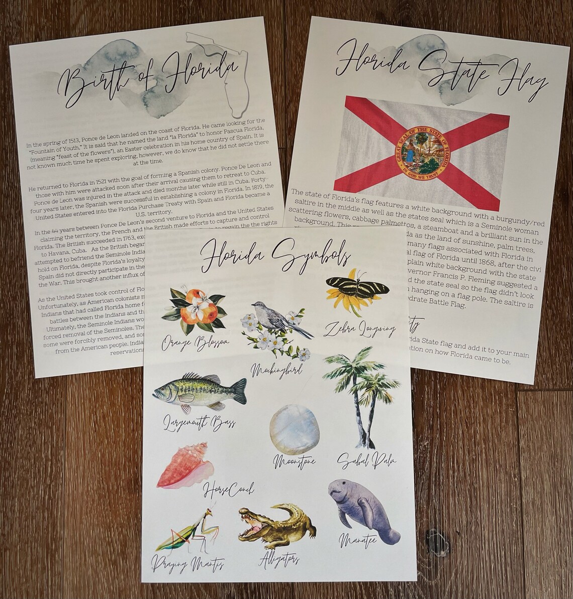 Florida Culture & History Literature Guide - Etsy