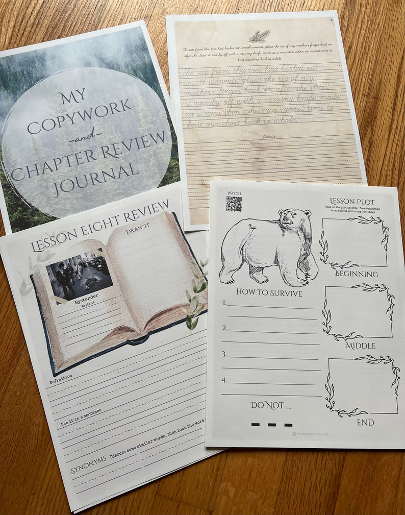 Echo Mountain Literature Guide - Etsy
