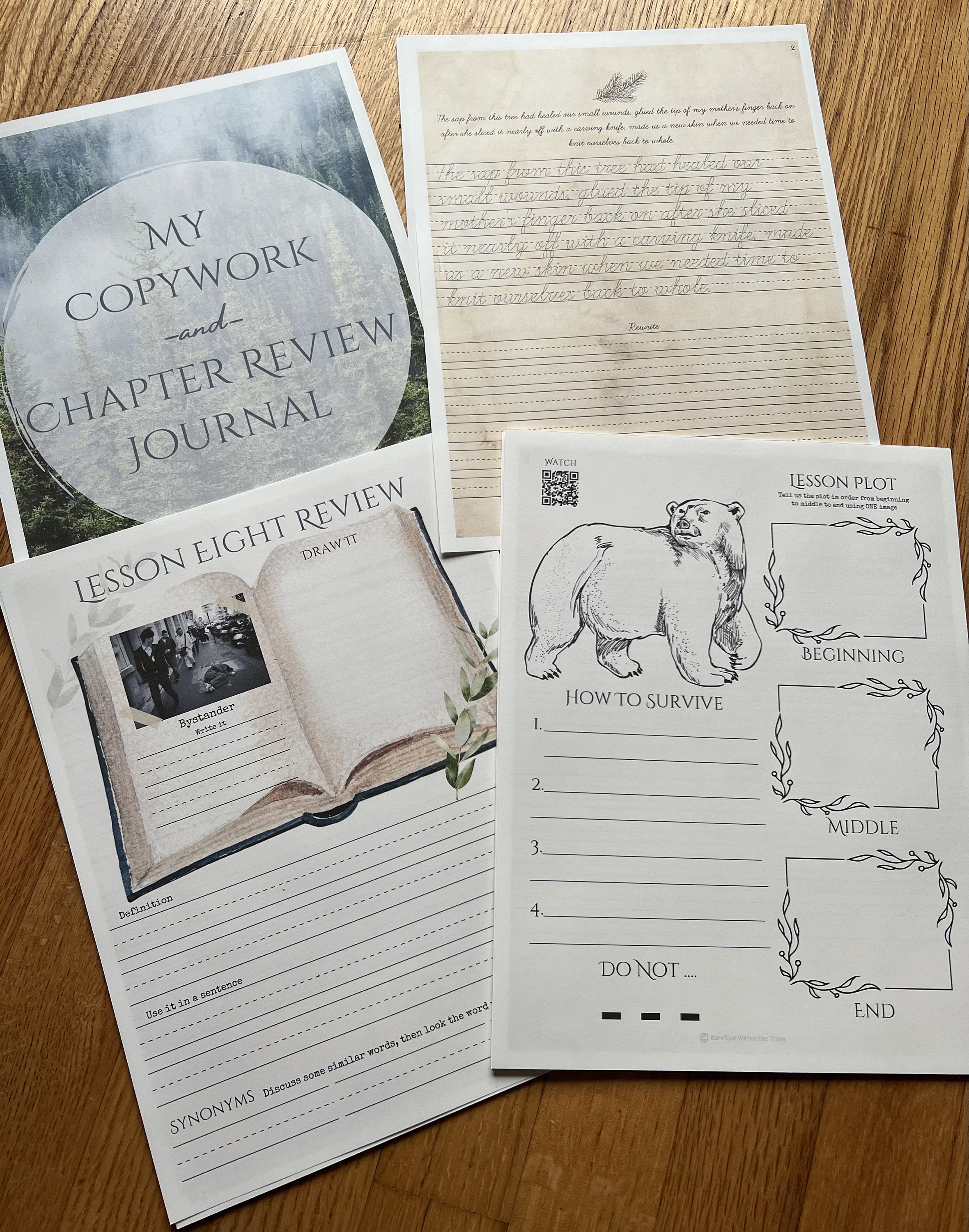 Echo Mountain Literature Guide - Etsy