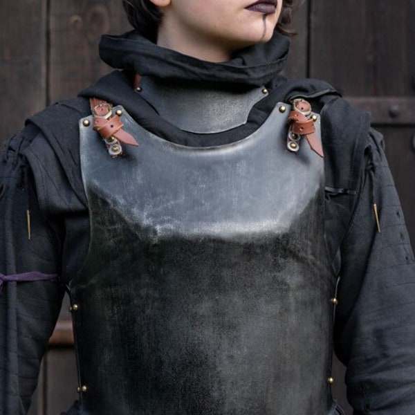 Lady Plate Armor Suit - Etsy
