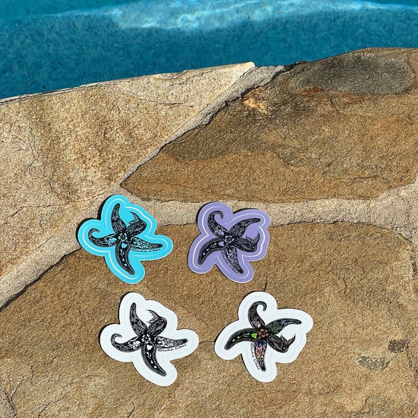 Starfish Sticker - Etsy
