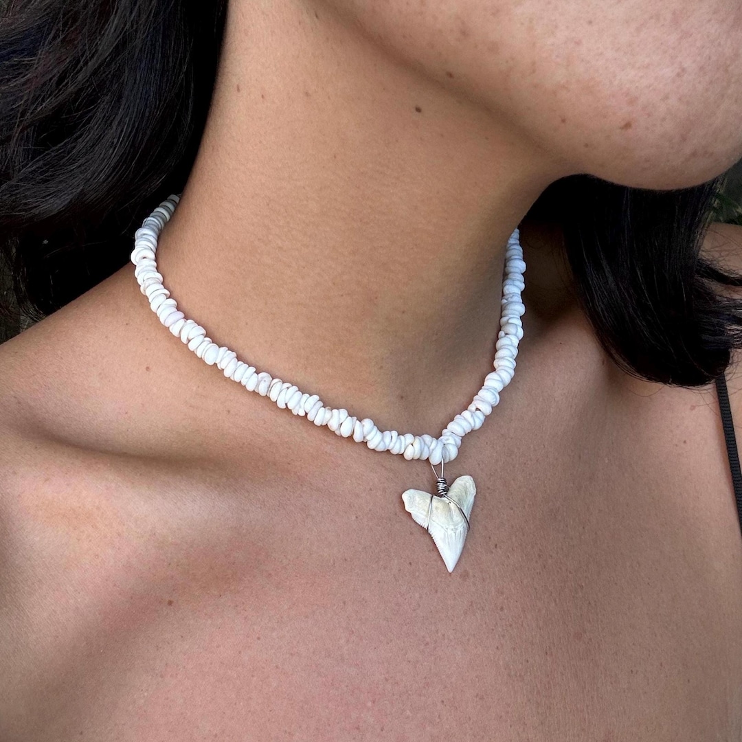 Authentic Hawaiian Puka Shell Shark Tooth Choker Necklace - Etsy