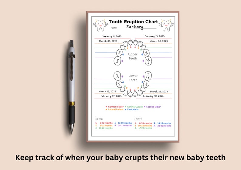 Printable Tooth Eruption Chart & Lost Tooth Chart • Baby Tooth Tracker ...