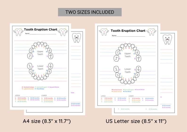 Printable Tooth Eruption Chart & Lost Tooth Chart Baby Tooth - Etsy ...