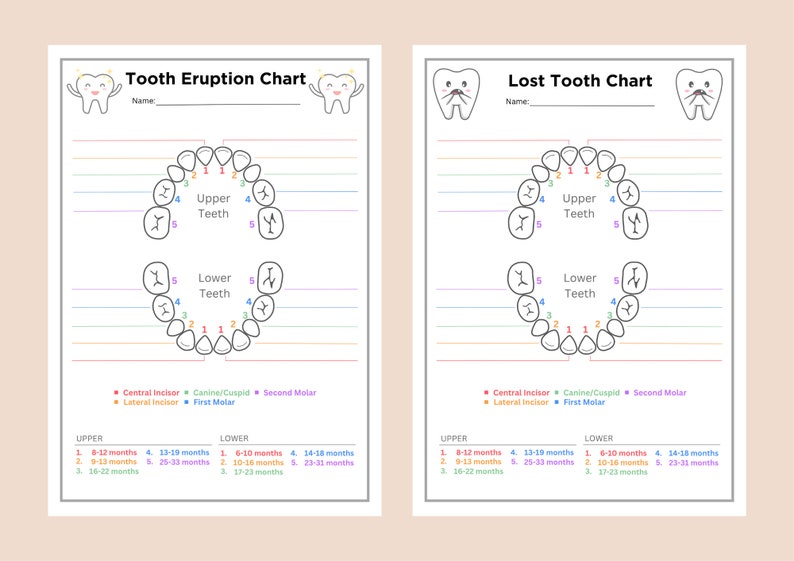 Printable Tooth Eruption Chart & Lost Tooth Chart Baby Tooth - Etsy ...
