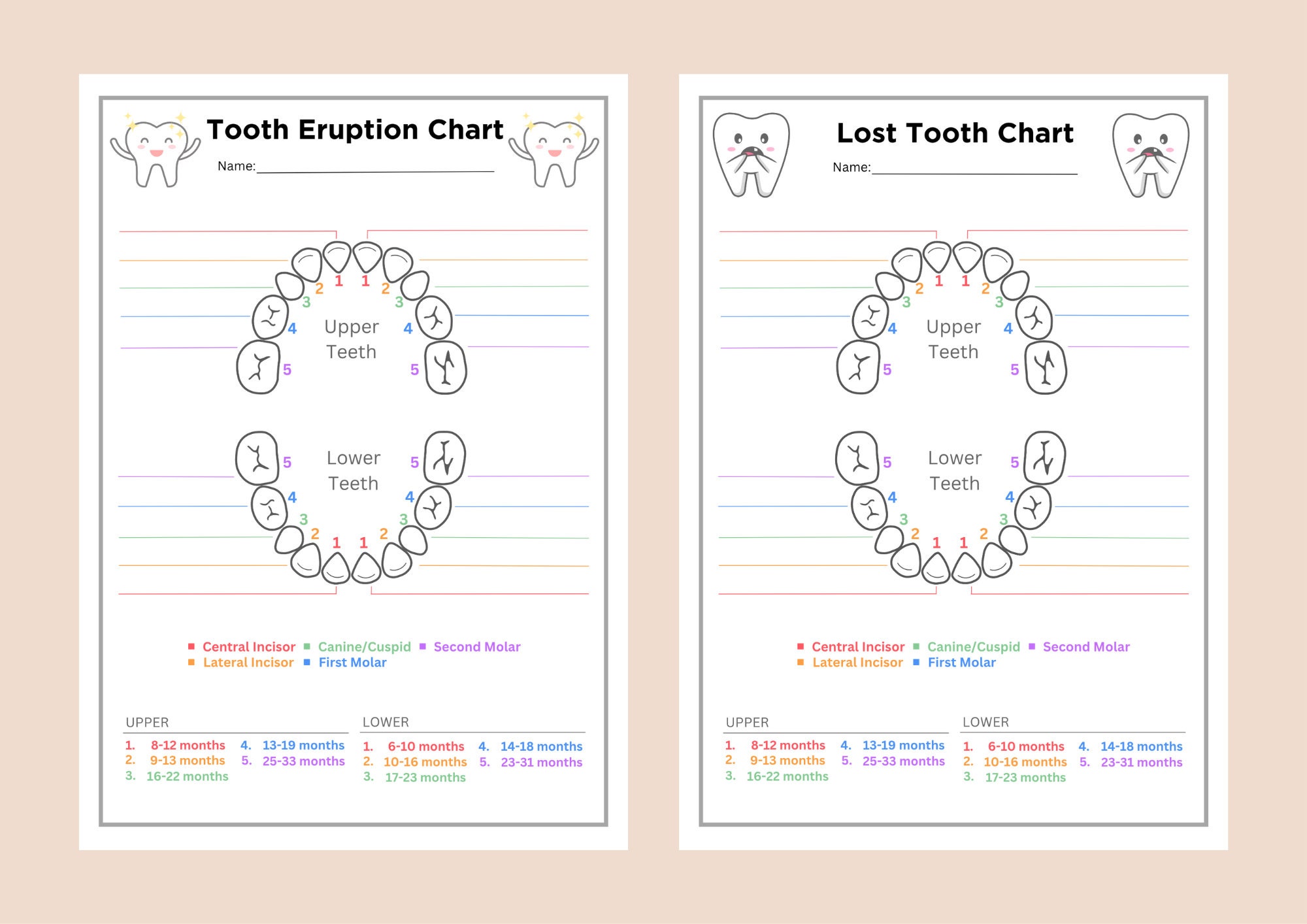 Printable Tooth Eruption Chart & Lost Tooth Chart Baby Tooth - Etsy ...