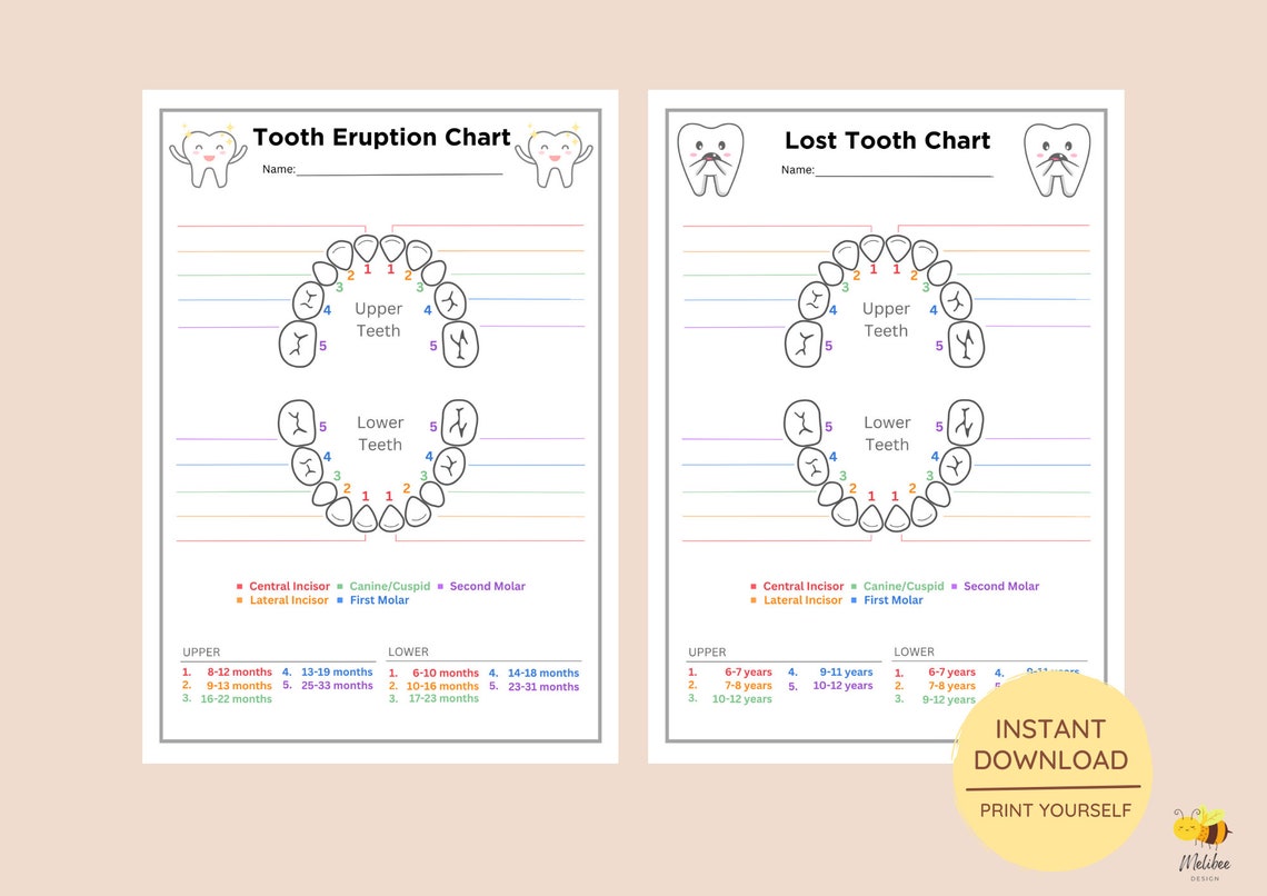 Printable Tooth Eruption Chart & Lost Tooth Chart • Baby Tooth Tracker ...