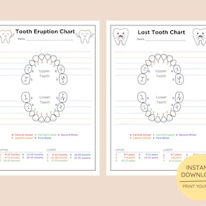 Printable Tooth Eruption Chart & Lost Tooth Chart • Baby Tooth Tracker ...