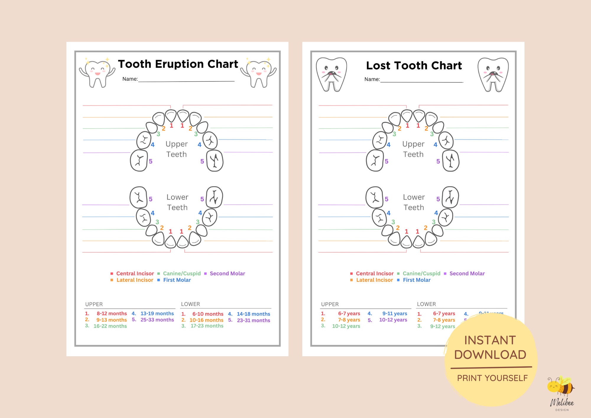 Printable Tooth Eruption Chart & Lost Tooth Chart • Baby Tooth Tracker ...