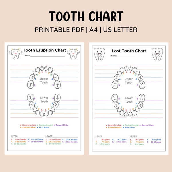 Baby Tooth - Etsy