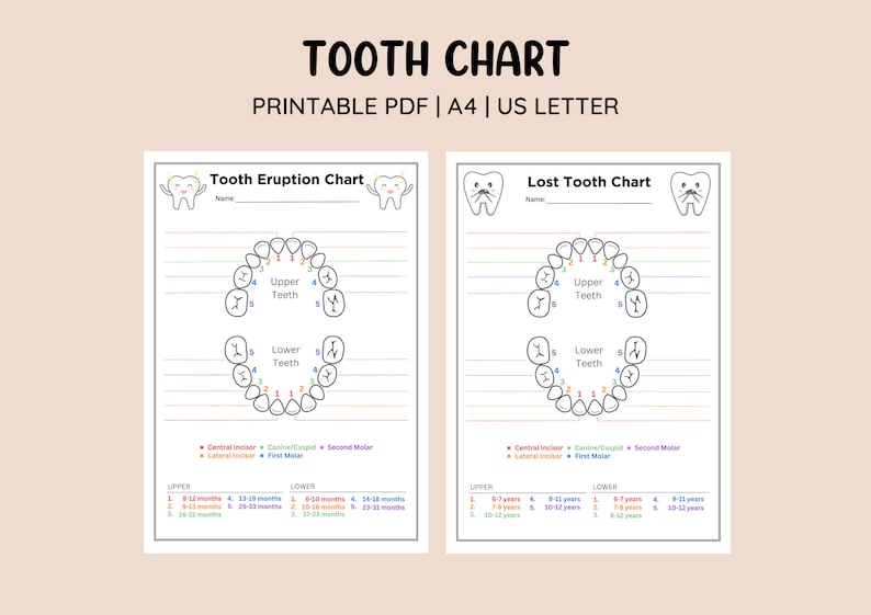 Printable Tooth Eruption Chart & Lost Tooth Chart • Baby Tooth Tracker ...
