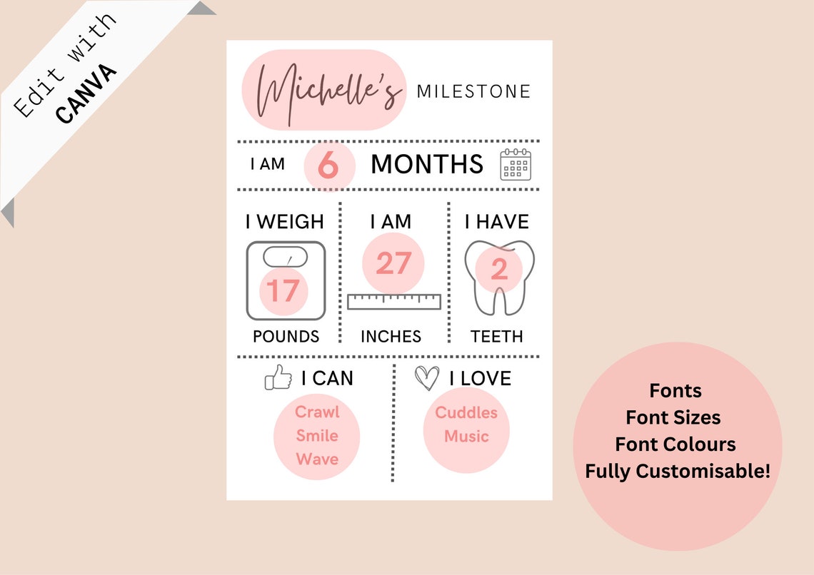 EDITABLE Baby Monthly Milestone Sign • Baby Monthly Stats Template ...
