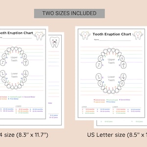 Printable Tooth Eruption Chart & Lost Tooth Chart • Baby Tooth Tracker ...