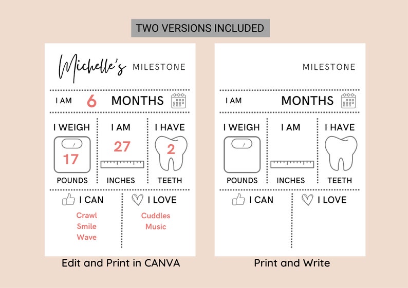 EDITABLE Baby Monthly Milestone Sign • Baby Monthly Stats Template ...
