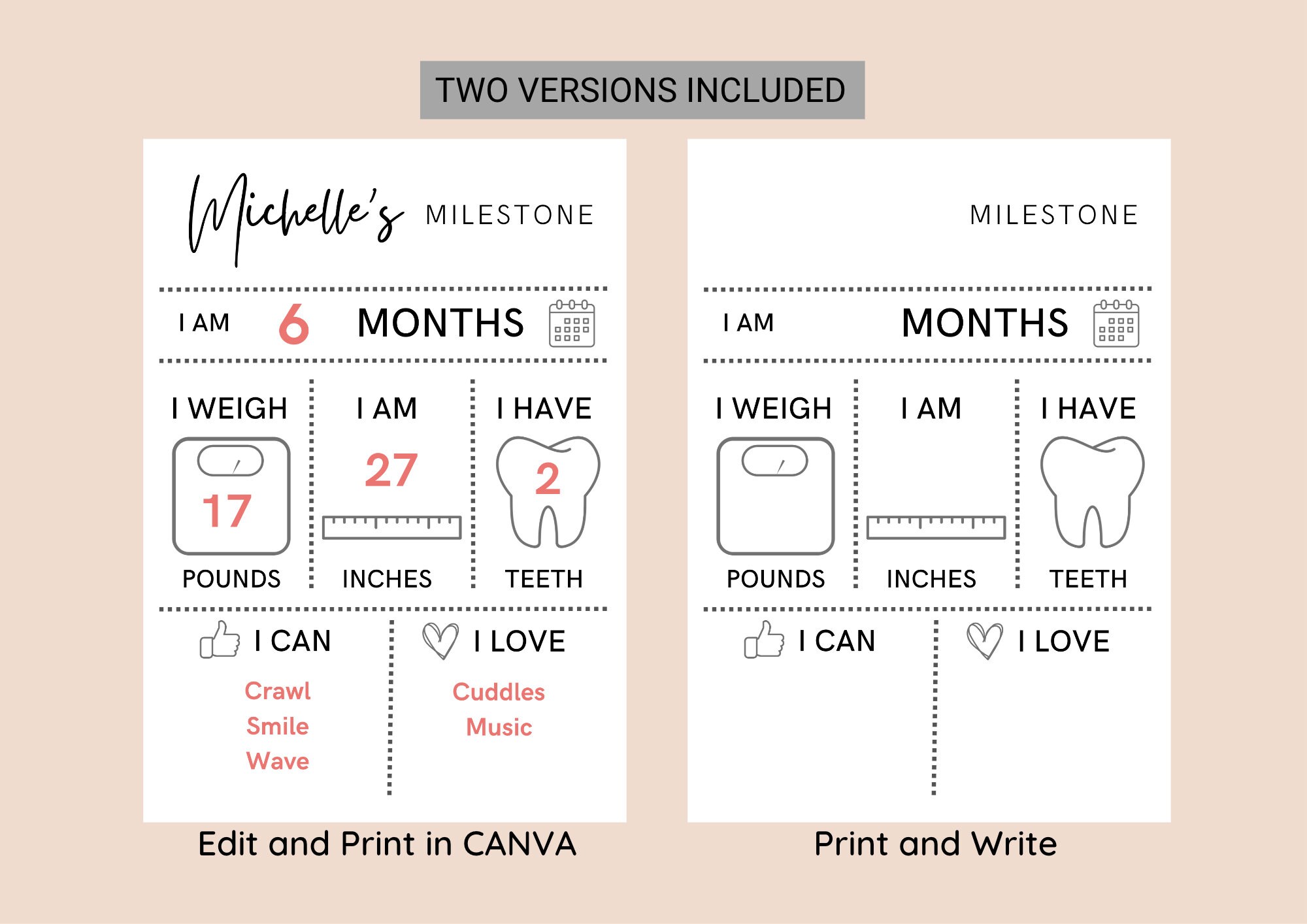 EDITABLE Baby Monthly Milestone Sign • Baby Monthly Stats Template ...