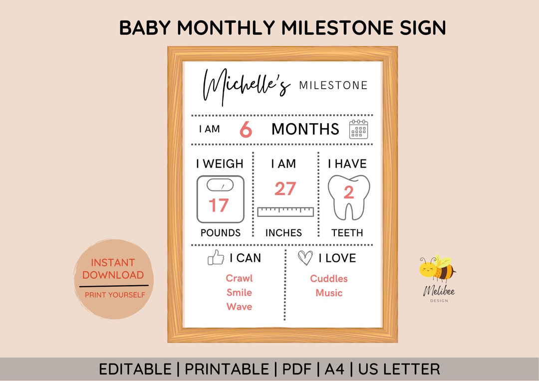 EDITABLE Baby Monthly Milestone Sign • Baby Monthly Stats Template ...