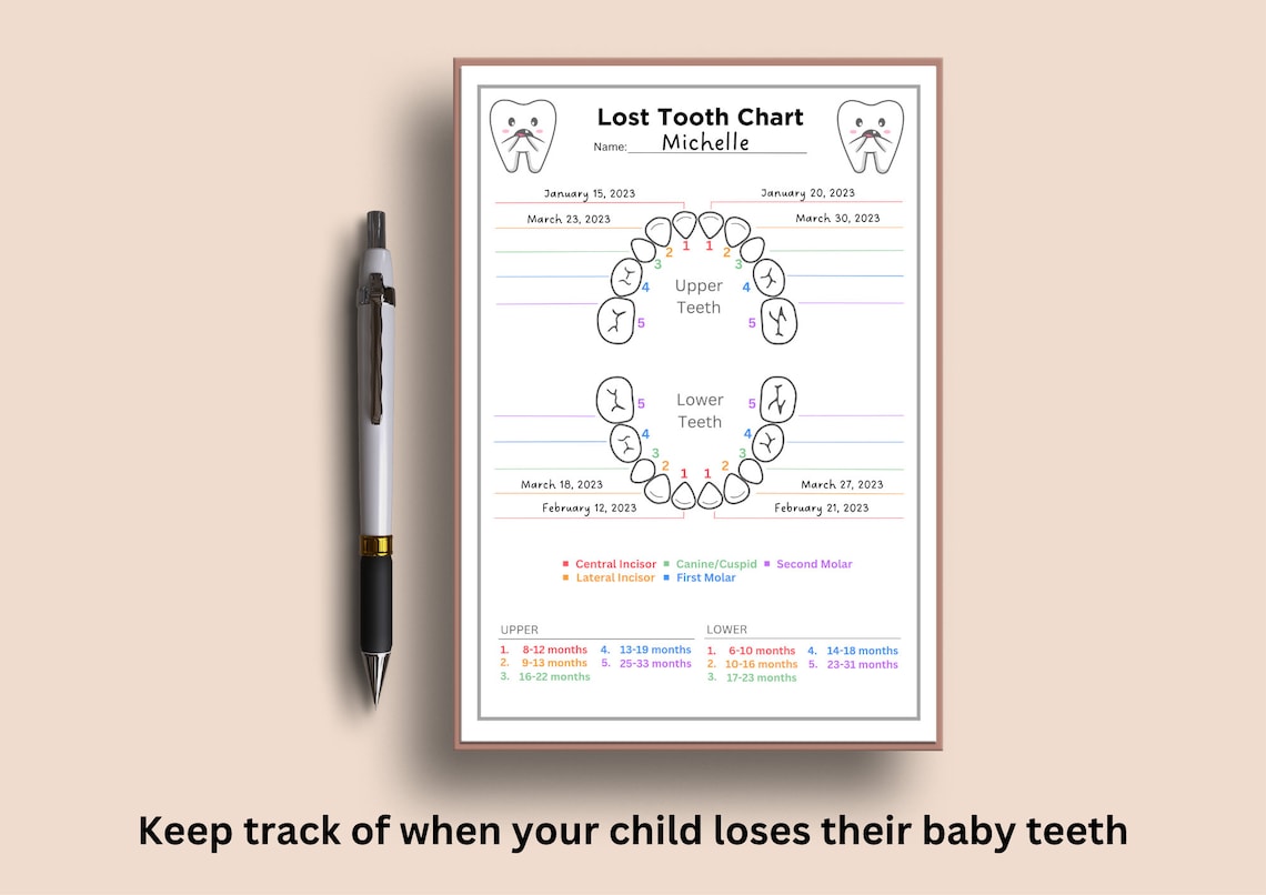 Printable Tooth Eruption Chart & Lost Tooth Chart Baby Tooth - Etsy ...