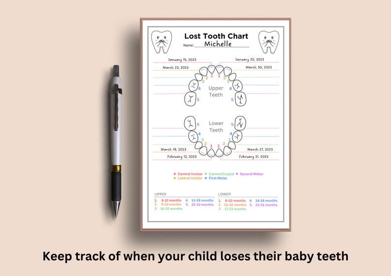 Printable Tooth Eruption Chart & Lost Tooth Chart Baby Tooth - Etsy ...