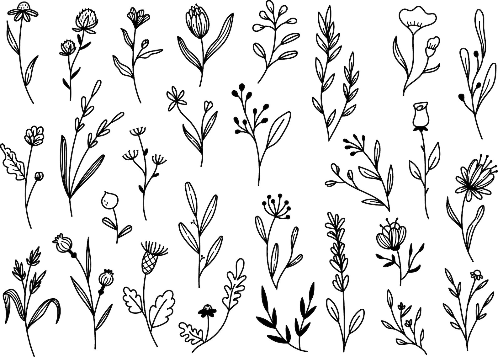28 Flowers Cut Files Svg, Ai,pdf, Png, Dxf Files - Etsy