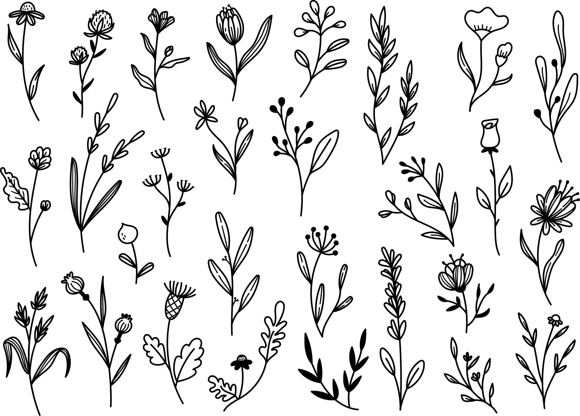 28 Flowers Cut Files Svg, Ai,pdf, Png, Dxf Files - Etsy