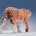 Tiger: Digital Files for Papercraft. Printable PDF Template, DXF ...