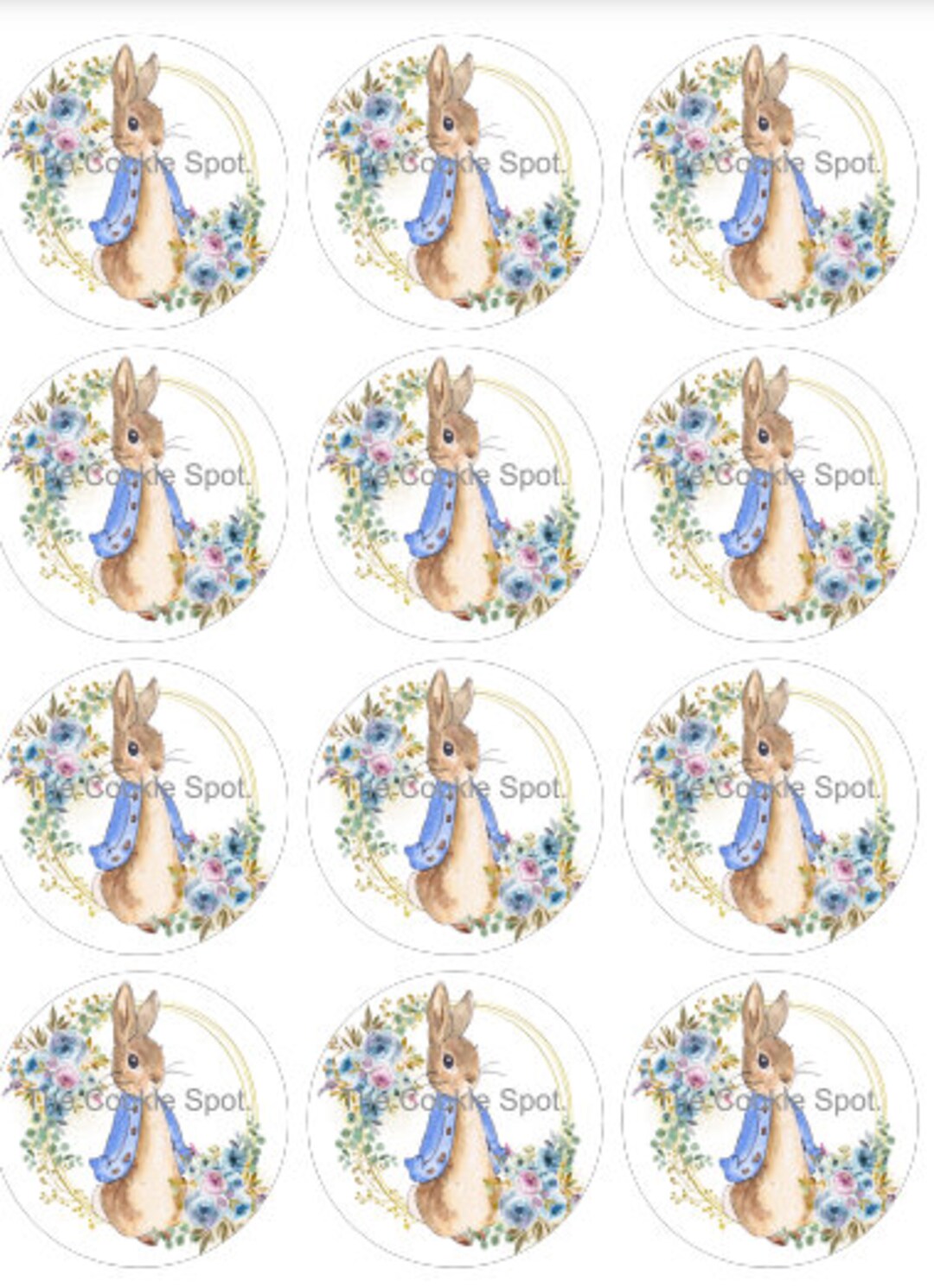 Peter Rabbit Pre Cut Edible Images - Etsy