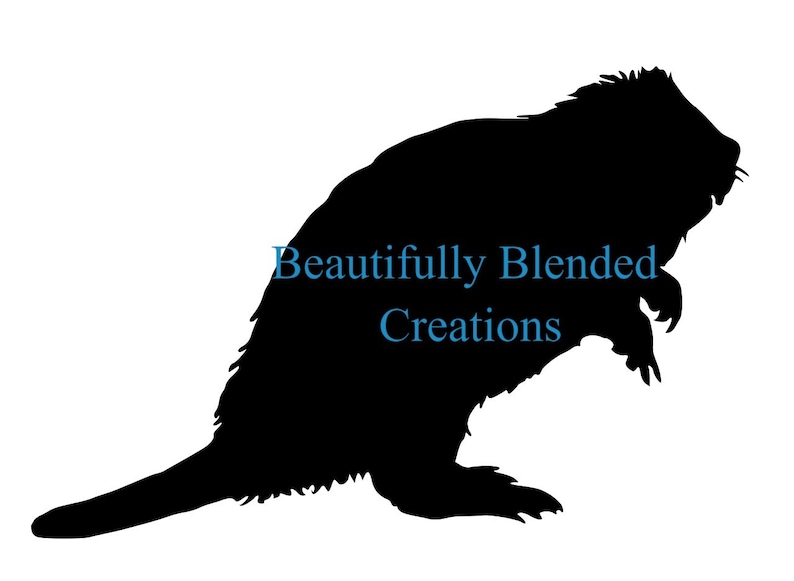 Beaver Profile SVG - Etsy