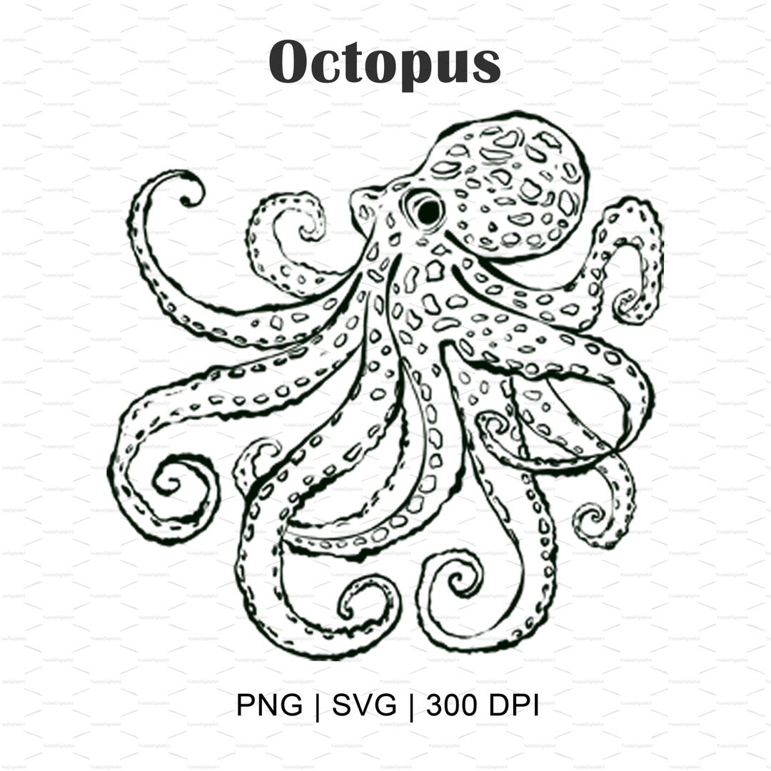 Octopus Line Art SVG: Sea Life Print, PNG, 300 DPI - Etsy
