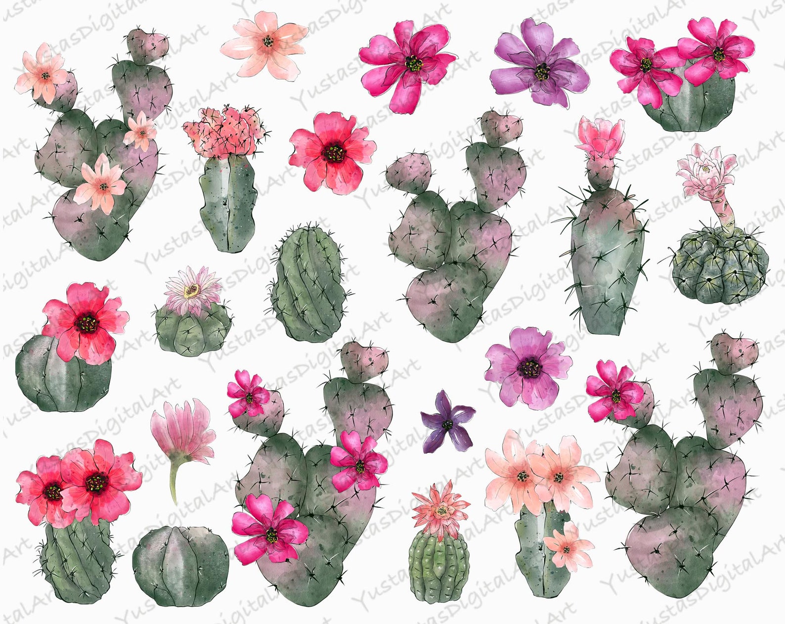 Cactus Clipart Succulent Clipart Tropical Clipart Cactus - Etsy