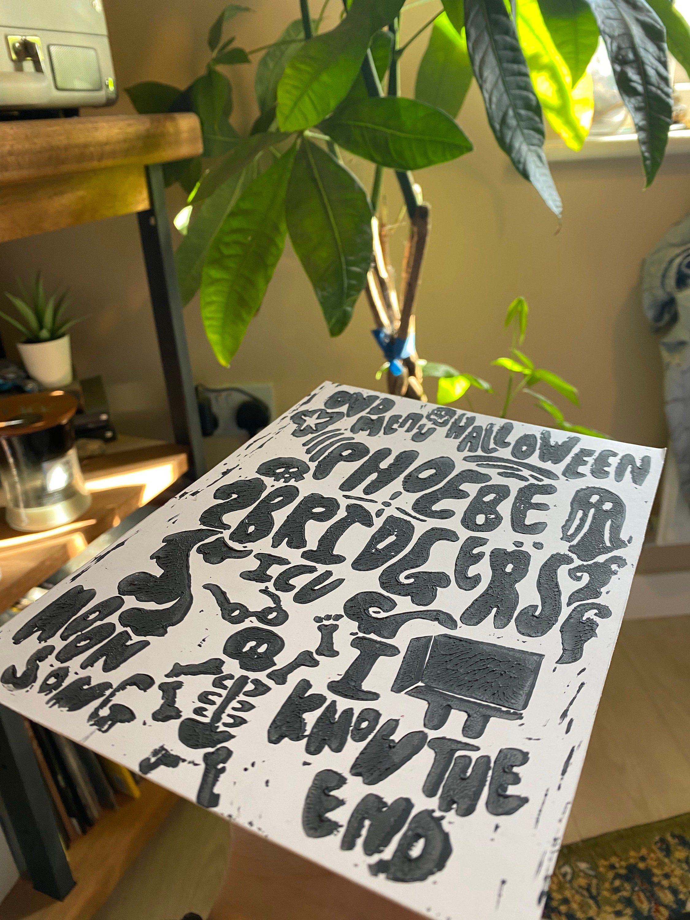 Phoebe Bridgers Art Print - Etsy UK