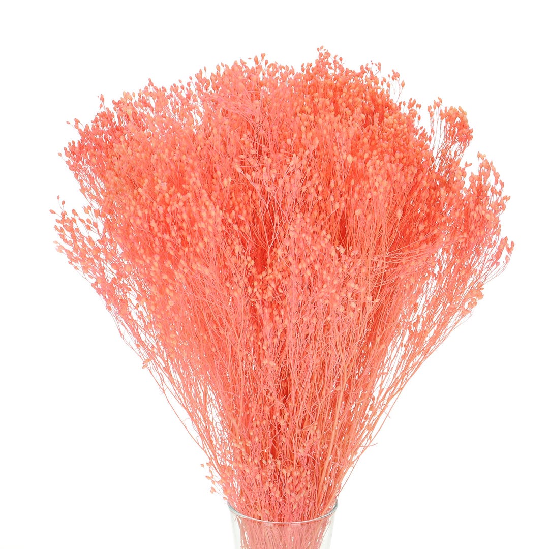 Dried Pink Broom Bloom Bunch | Natural Floral Arrangement, Home Decor ...