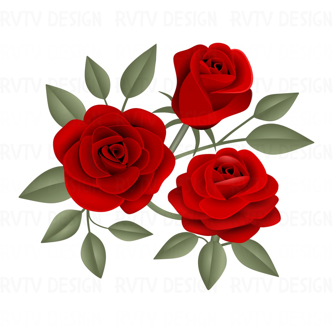 5 Types Rose Flower PNG Files, Floral Decoration PNG, Rose Png, Flower ...