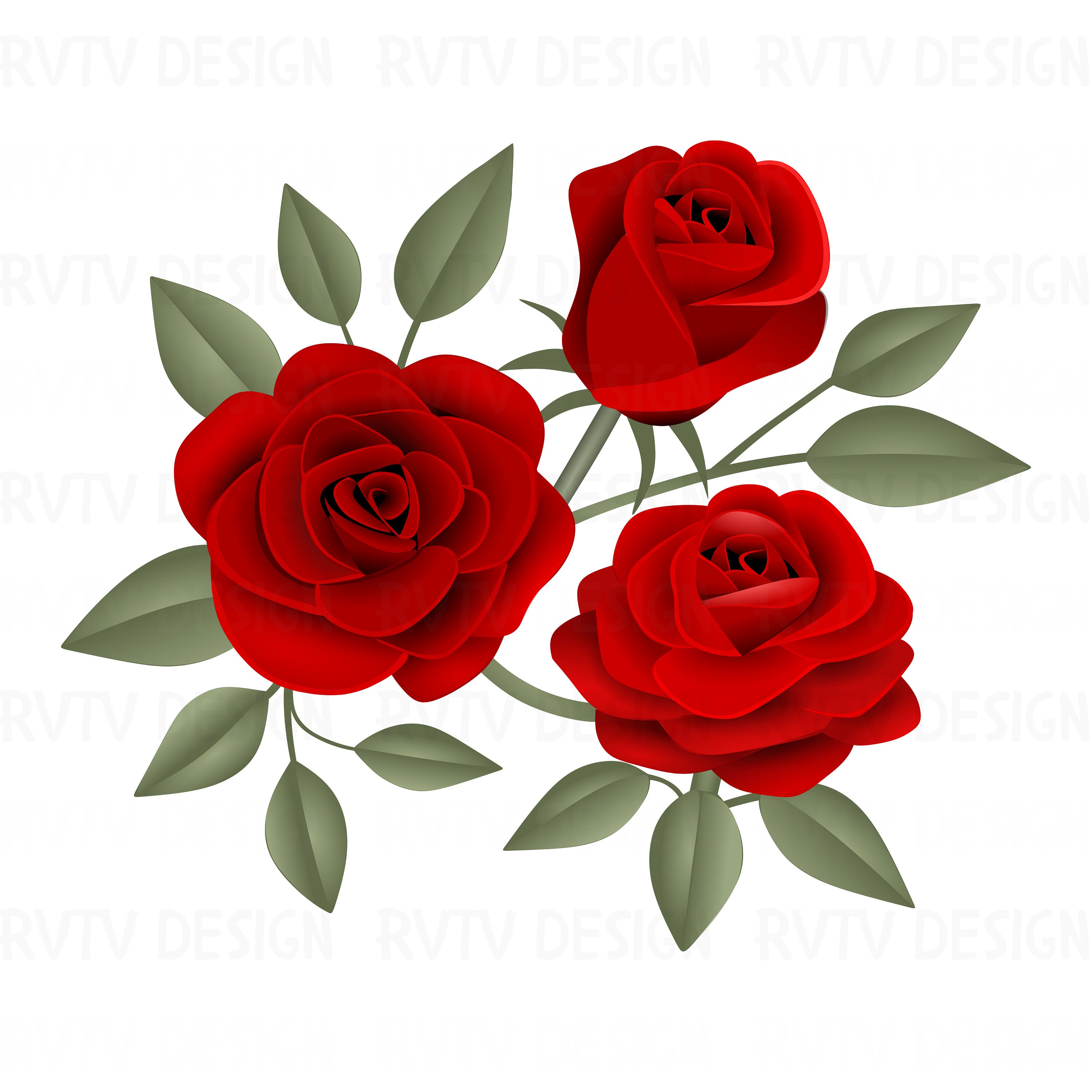 5 Types Rose Flower PNG Files, Floral Decoration PNG, Rose Png, Flower ...