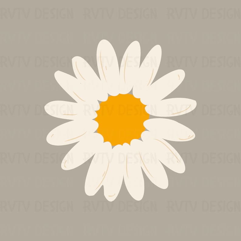 Daisy Png, 5 Types Daisy Files, Daisy Png Bundle, Daisy Flower Png ...